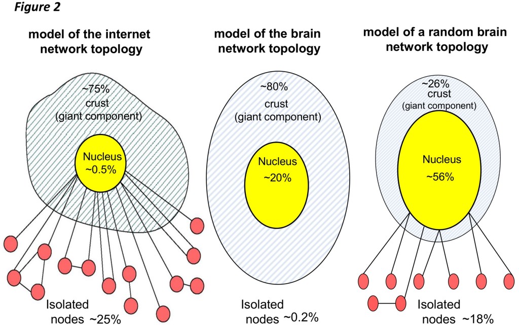 Where is my mind? A new study looks for the cortical conscious network ...