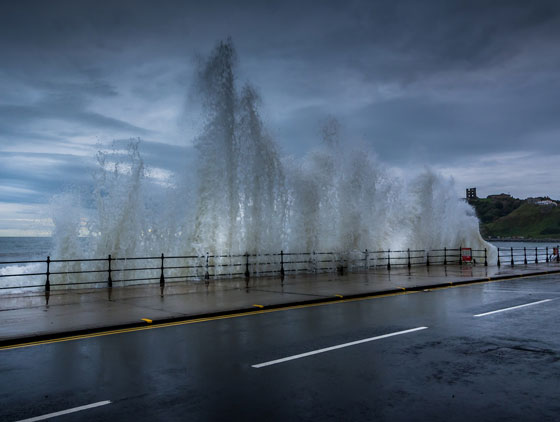 sea-web-cc0 - IOP Publishing